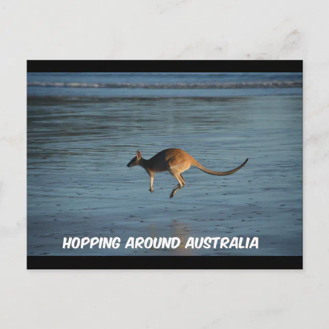 Hopping Around Australia Kangaroo Postcard | Zazzle