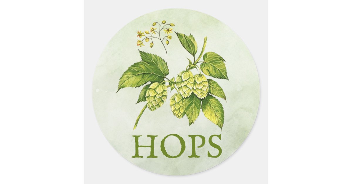Hops Herbs Sticker | Zazzle