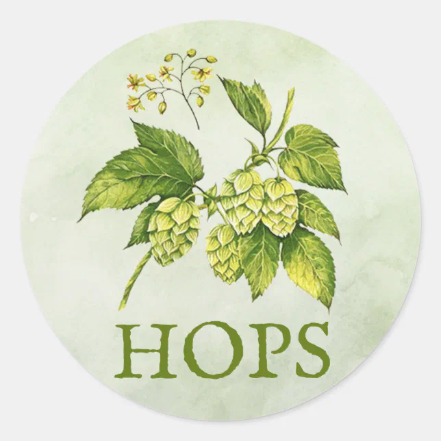 Hops Herbs Sticker | Zazzle
