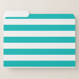 Horizontal Aqua Stripes File Folder | Zazzle