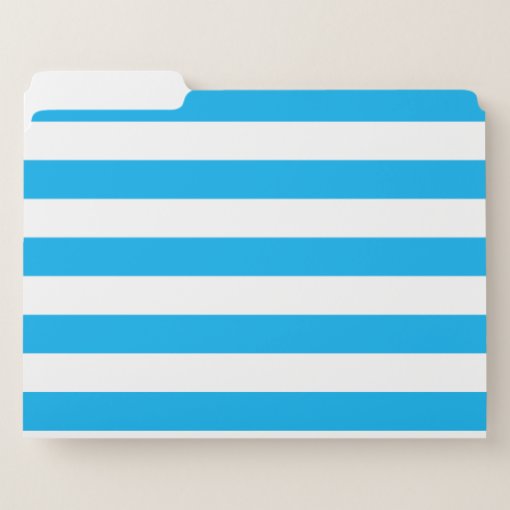 Horizontal Blue Stripes File Folder | Zazzle