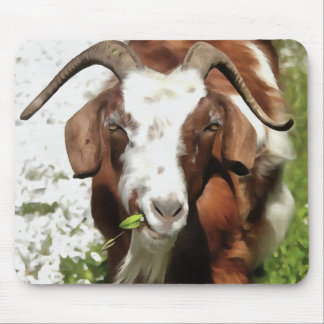 Sheep Mouse Pads | Zazzle