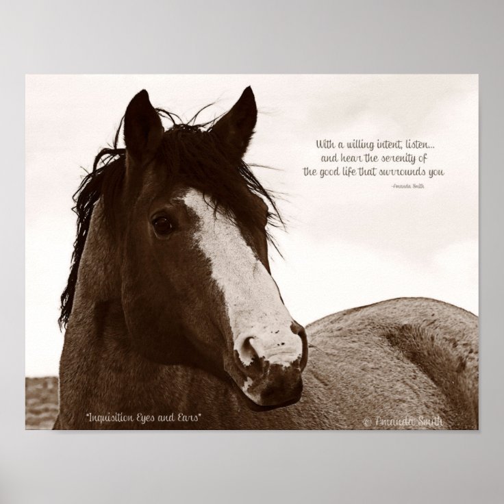 Horse Art Poster With Inspirational Quote 11x14 | Zazzle