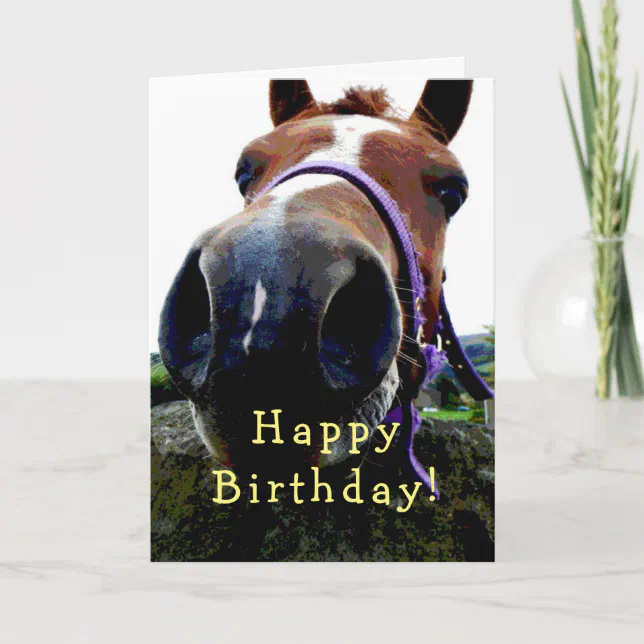 Horse Birthday card | Zazzle