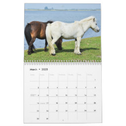 Horse Calendar Personalized | Zazzle