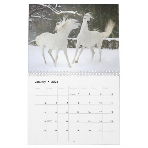 Horse Calendar Personalized | Zazzle