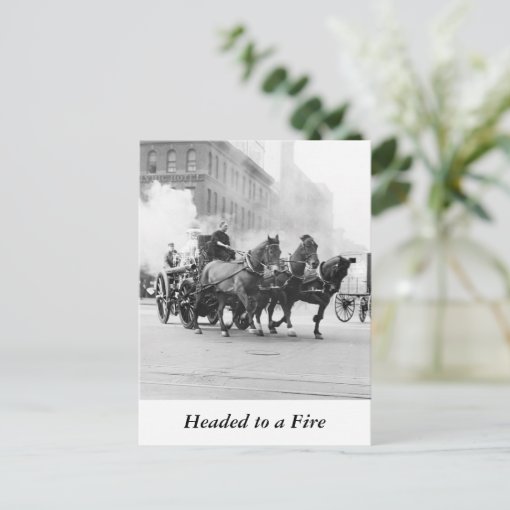 Horse Drawn Fire Engine, early 1900s Postcard | Zazzle
