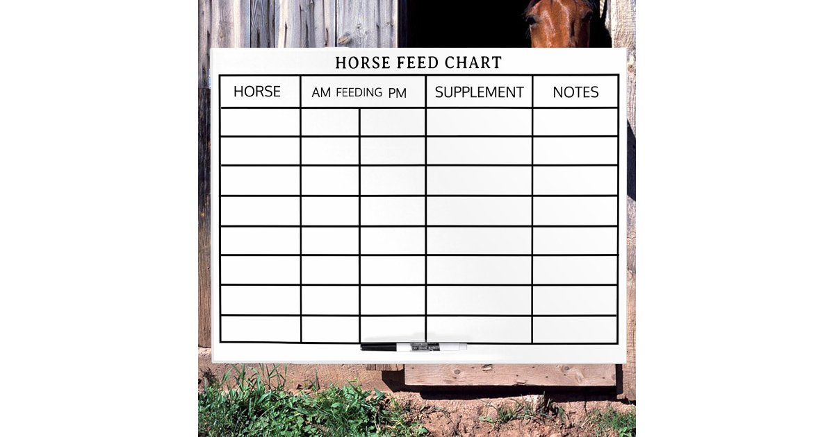 Horse Feed Chart,Feeding Schedule for Horse Stable Dry Erase Board | Zazzle