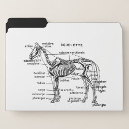 Horse File Folder | Zazzle