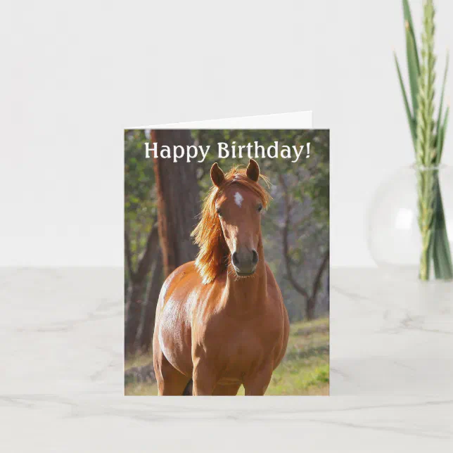 Horse Happy Birthday Card for Horse lovers | Zazzle