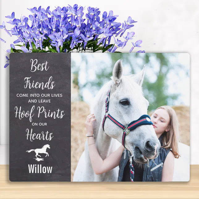 Horse Memorial Custom Photo Equestrian Sympathy Plaque | Zazzle