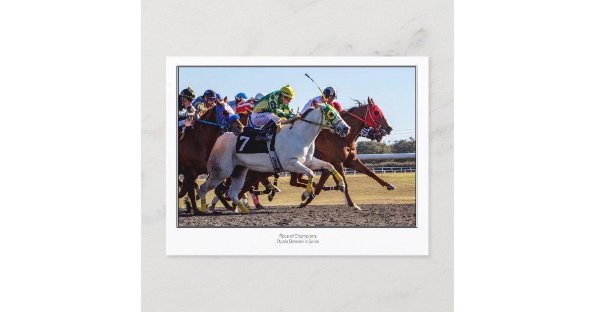 Horse Racing Postcard | Zazzle
