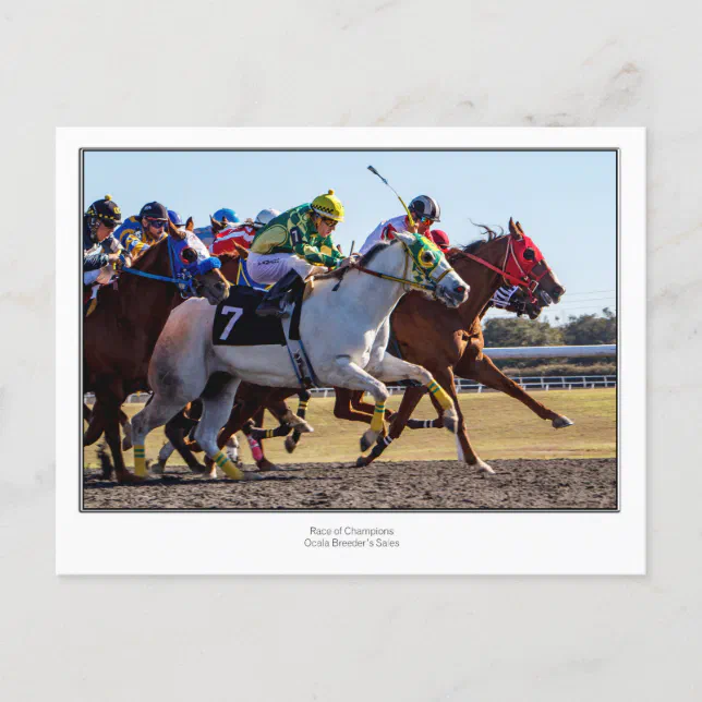 Horse Racing Postcard | Zazzle