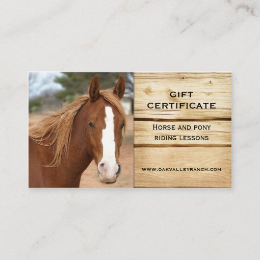 Horse Riding Lessons Gift Certificate Template | Zazzle