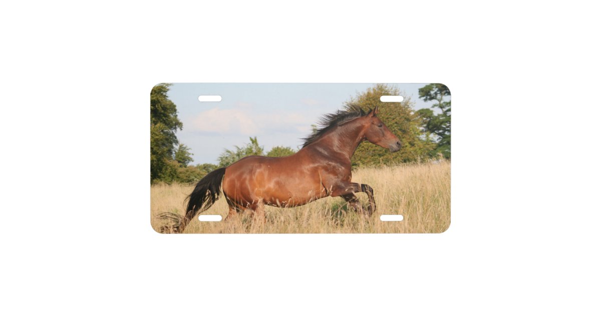 Horse Running License Plate | Zazzle