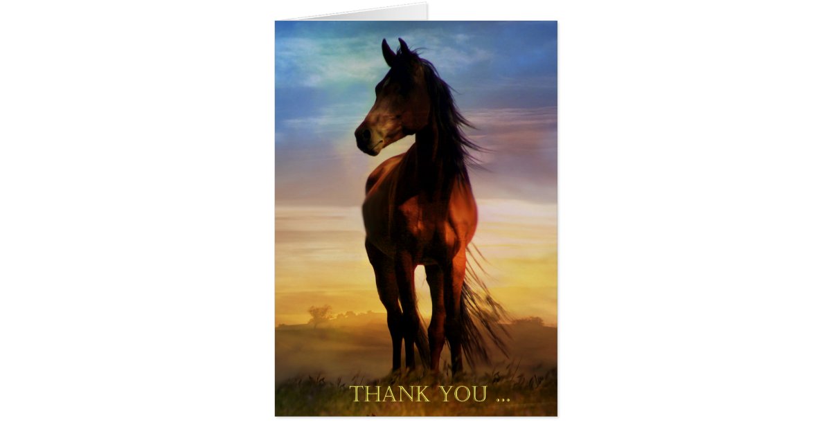 Thank You Wild Horses