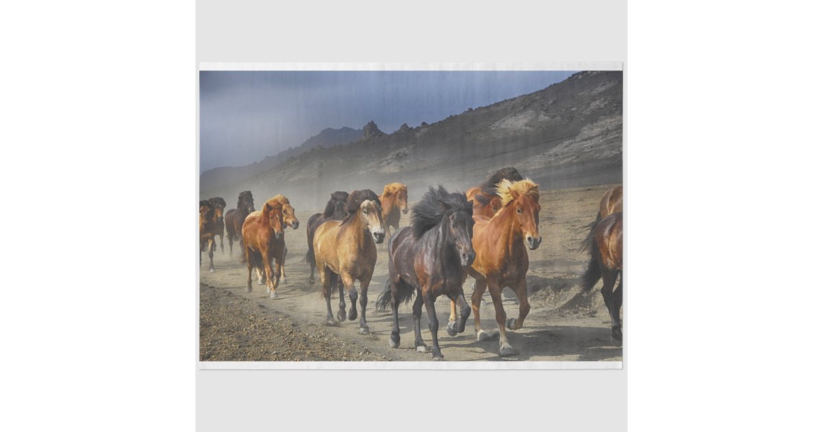 horse trail tissue paper | Zazzle