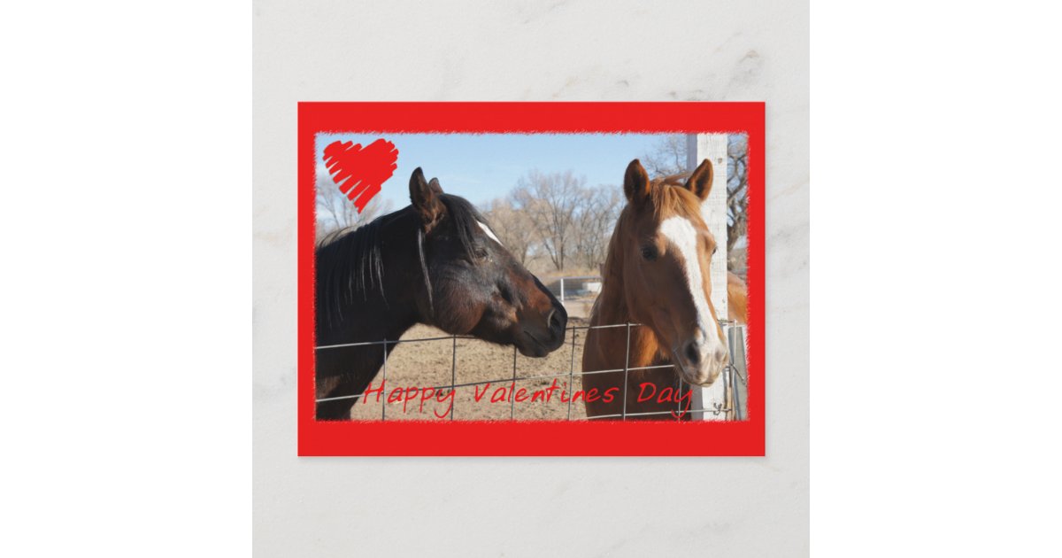 Horse Valentine VI Holiday Postcard | Zazzle