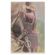 Horse Western Rustic Country Vintage Art Tissue Paper | Zazzle
