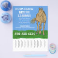 Horseback Riding Lessons, Horse Boarding Flyer | Zazzle