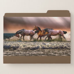 Horses And Sea File Folder | Zazzle
