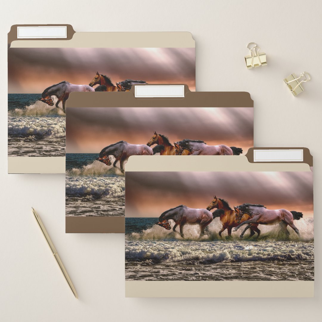 Horses And Sea File Folder | Zazzle