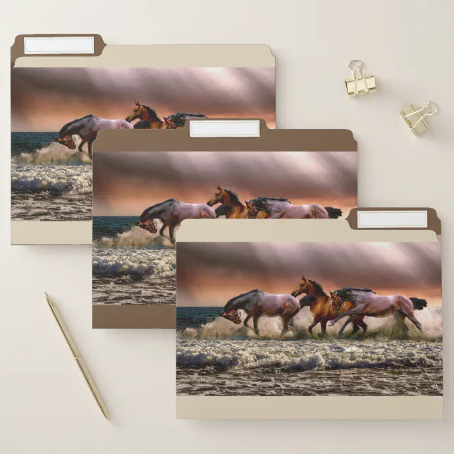 Horses And Sea File Folder | Zazzle