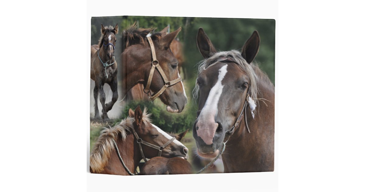 horses binder | Zazzle