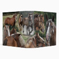 horses binder | Zazzle