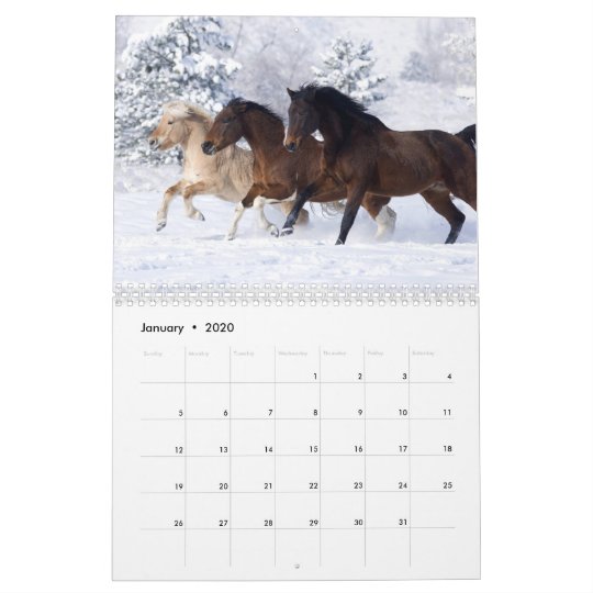 Horses Calendar | Zazzle.com