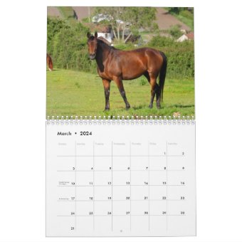 Horses Calendar | Zazzle