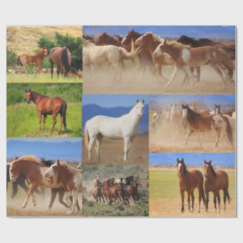 Horses Collage Wrapping Paper | Zazzle