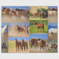 Horses Collage Wrapping Paper | Zazzle