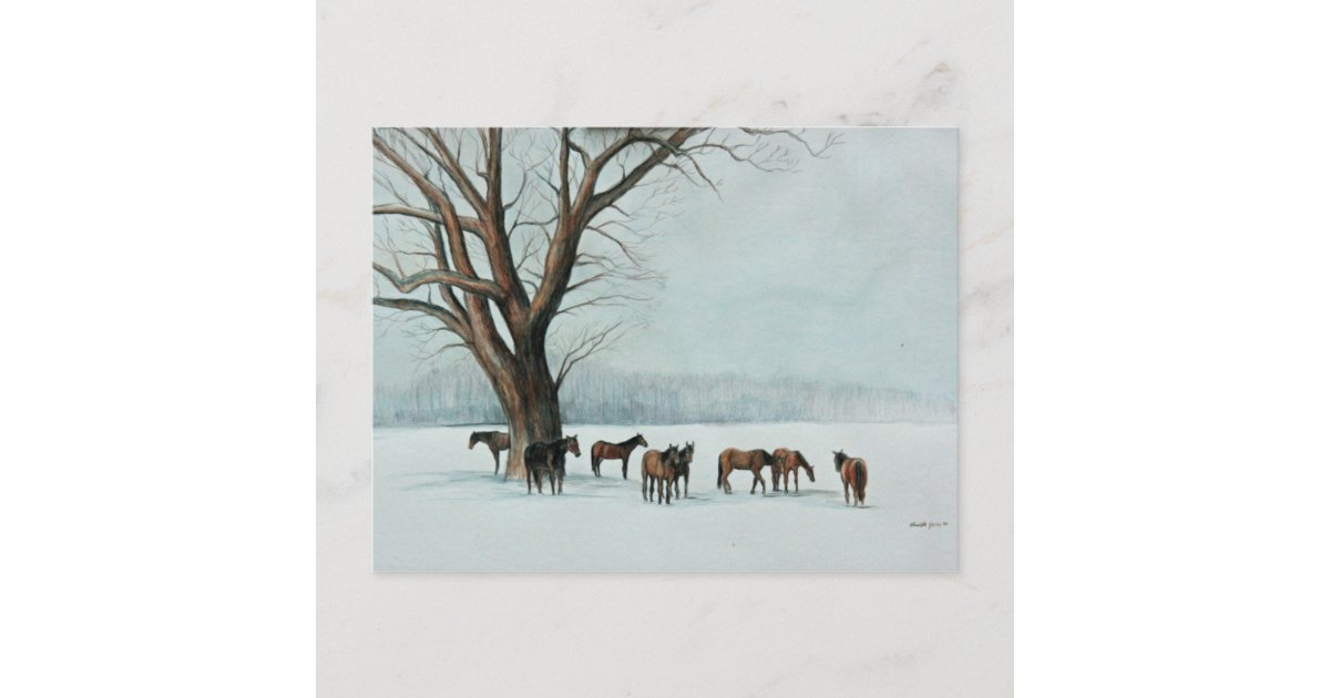 "Horses in Snow" Animal Art Postcard | Zazzle