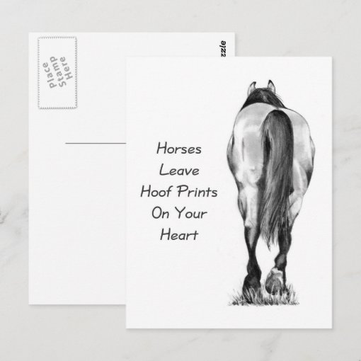 Horses Leave Hoofprints On Your Heart: Pencil Art Postcard | Zazzle