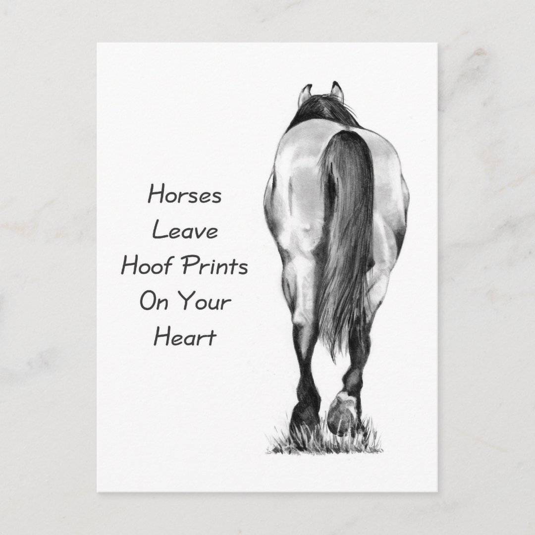 Horses Leave Hoofprints On Your Heart: Pencil Art Postcard | Zazzle