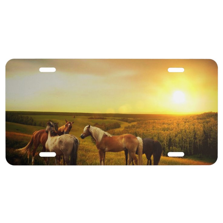 Horses License Plate | Zazzle