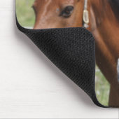 Horses Mouse Pad | Zazzle