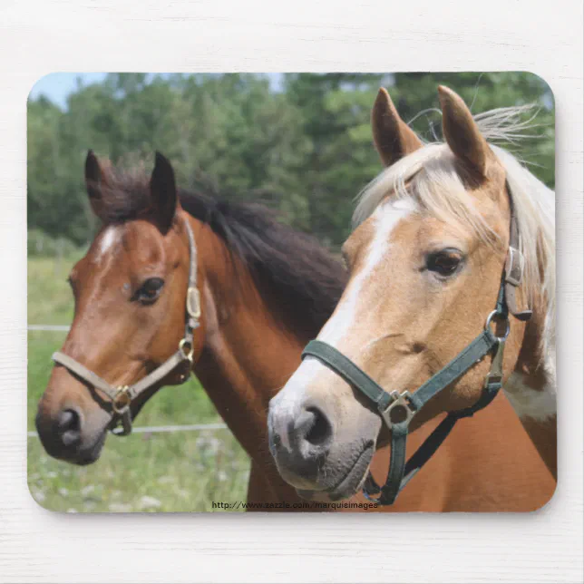Horses Mouse Pad | Zazzle