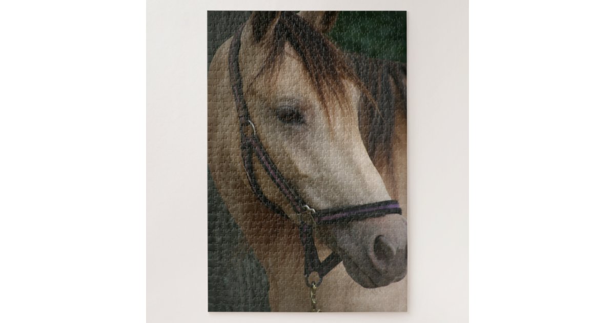 Horses peeking their heads over stall doors jigsaw puzzle | Zazzle