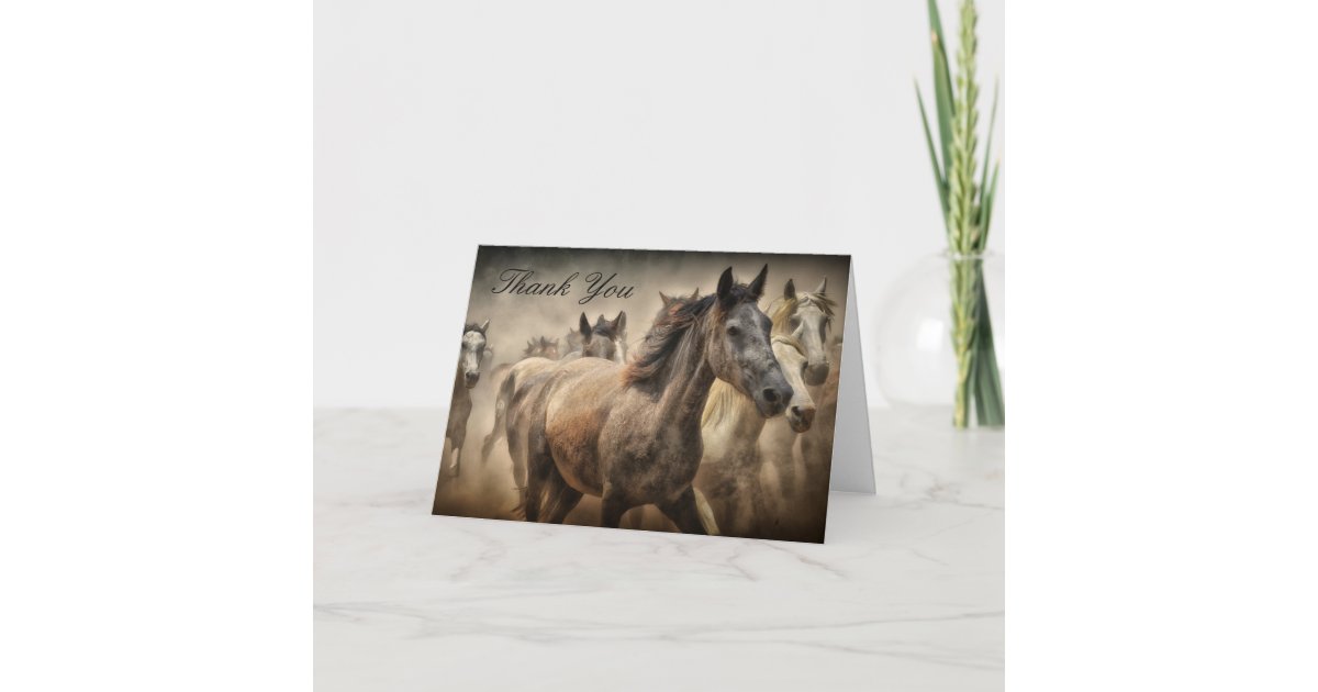 Horses Thank You Card | Zazzle