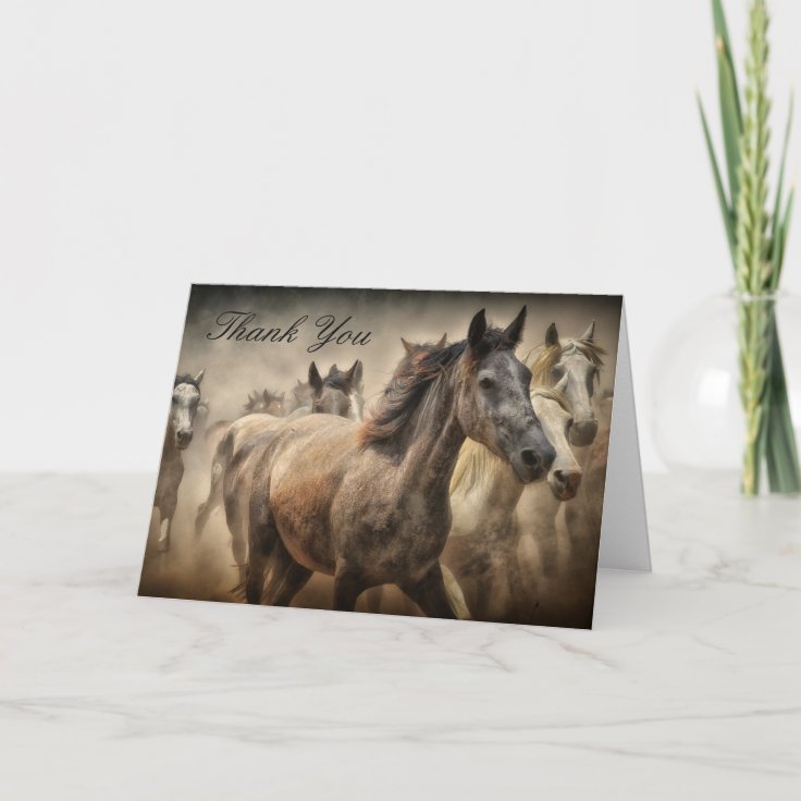 Horses Thank You Card | Zazzle