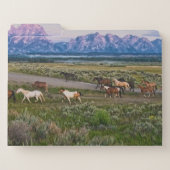 Horses Walk File Folder | Zazzle