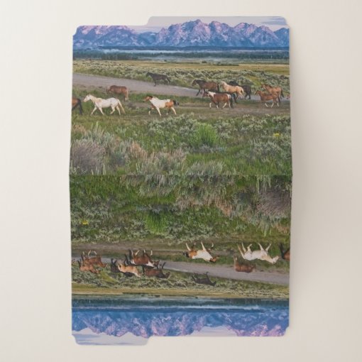Horses Walk File Folder | Zazzle