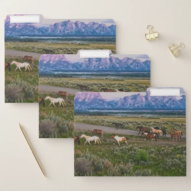 Horses Walk File Folder | Zazzle