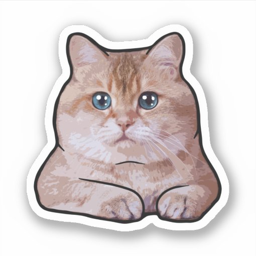 Hosico Cat Sticker | Zazzle