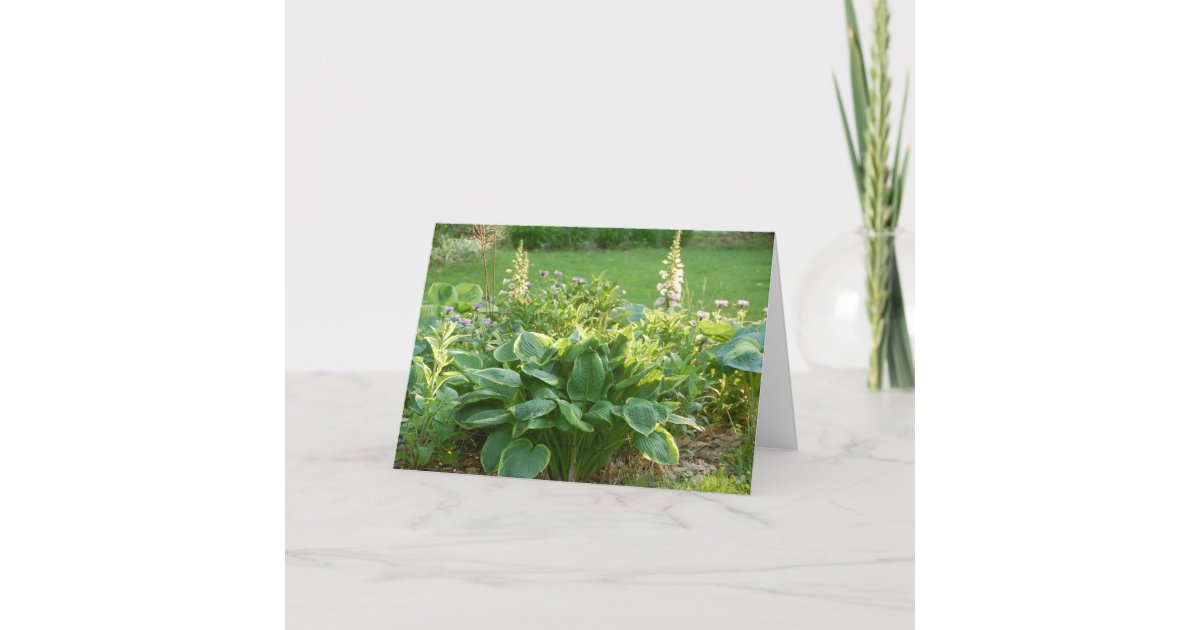 Hosta Card | Zazzle