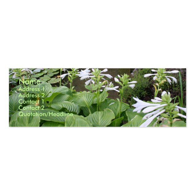 Hosta in a Zen Garden #2 Business Cards