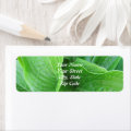 Hosta Leaves Return Address Labels | Zazzle