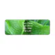 Hosta Leaves Return Address Labels | Zazzle